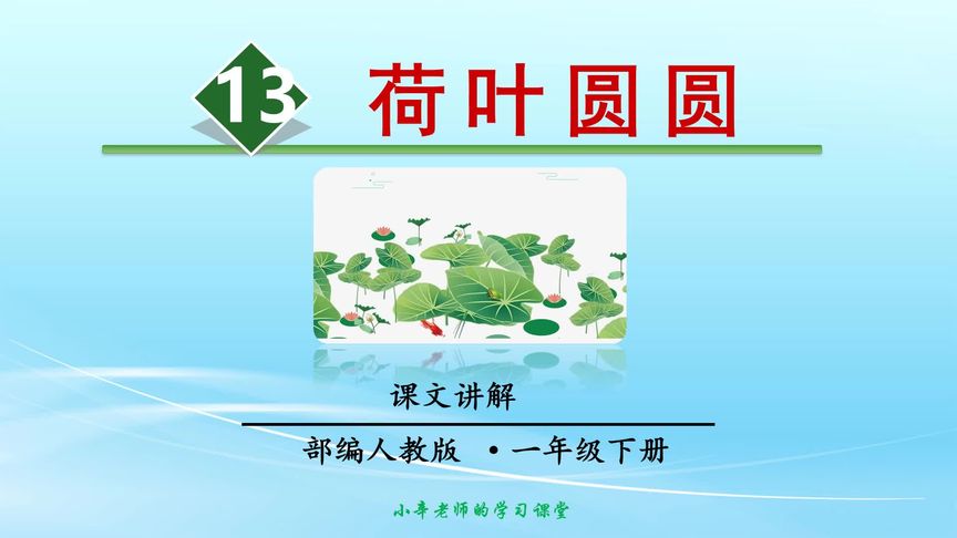 部编版语文一年级下册同步讲解荷叶圆圆课文讲解