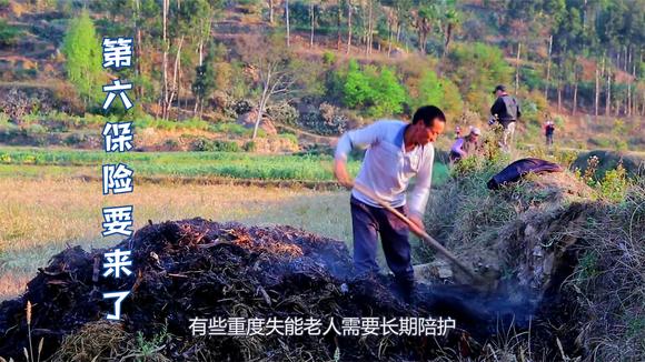 确定了!社保“第六险”来了,以后国民养老要靠它?