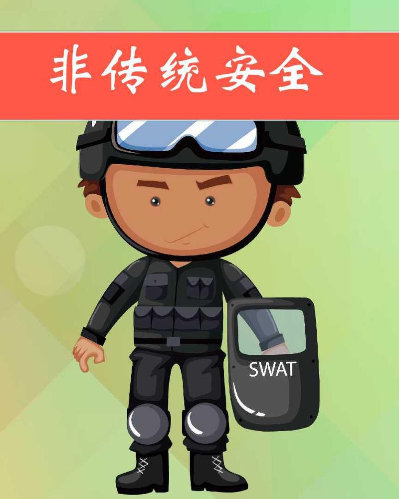 非传统安全:与传统安全观相对应的新安全观