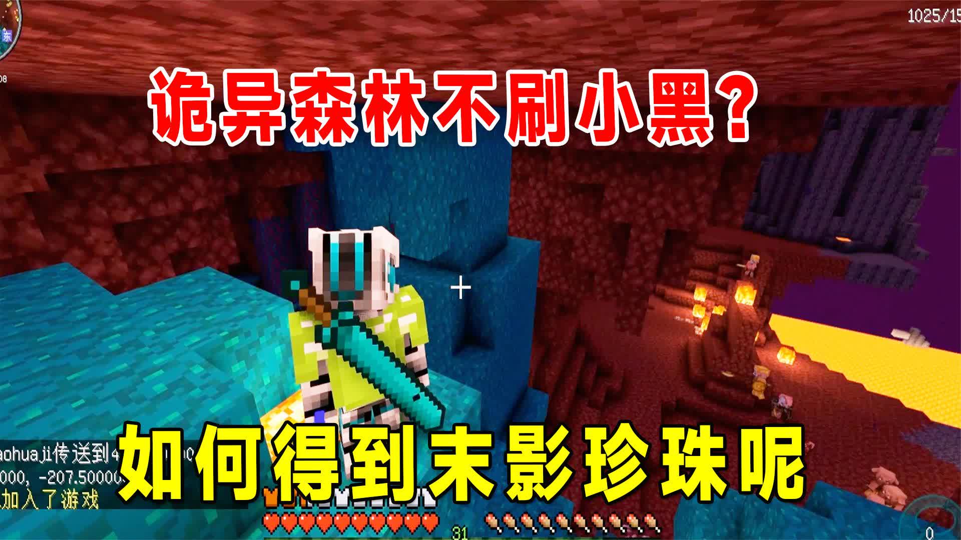 我的世界烦人的村民54:诡异森林不刷小黑?那要如何得到末影珍珠