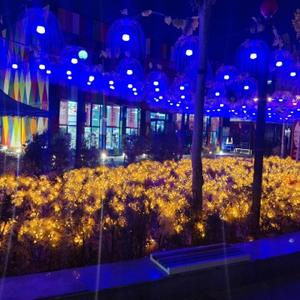 三好市名小陈 