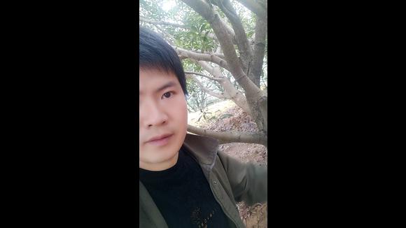 杨梅树管理施肥,离树根部距离二米左右撒上草木灰