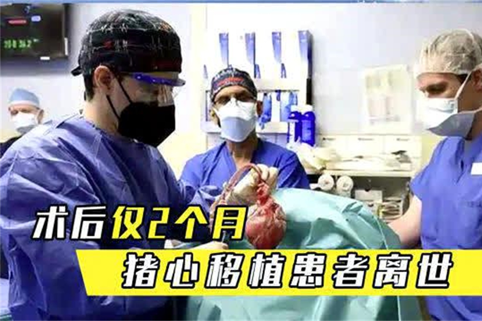 仅存活2个月!全球首例猪心脏移植患者突然去世,舆论一片哗然