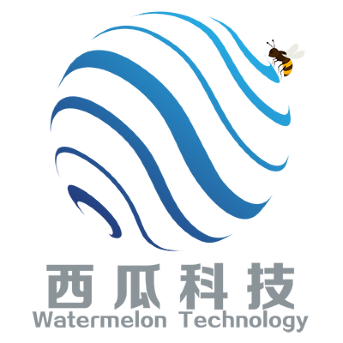 西瓜大浪 