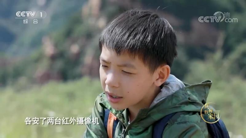 【中国生物多样性保护系列片《共同的家园》第二集:相伴】中国生物...