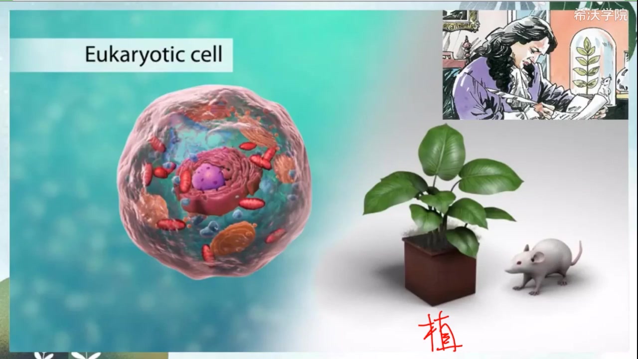 【一轮复习】细胞器与生物膜系统