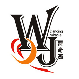 DMI蒂米舞蹈工作室 