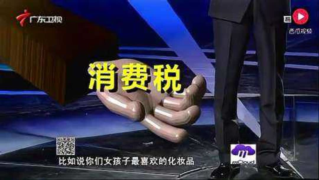 中国到底有多少种税?|授权转载自假装吹壳子