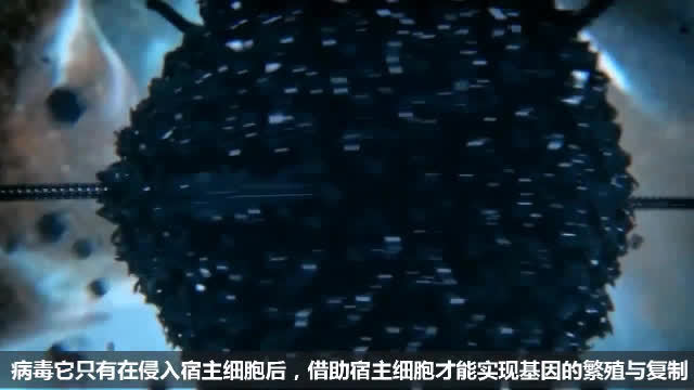 体内有了它,就可防止病毒感染,特异性抗体到底是什么?