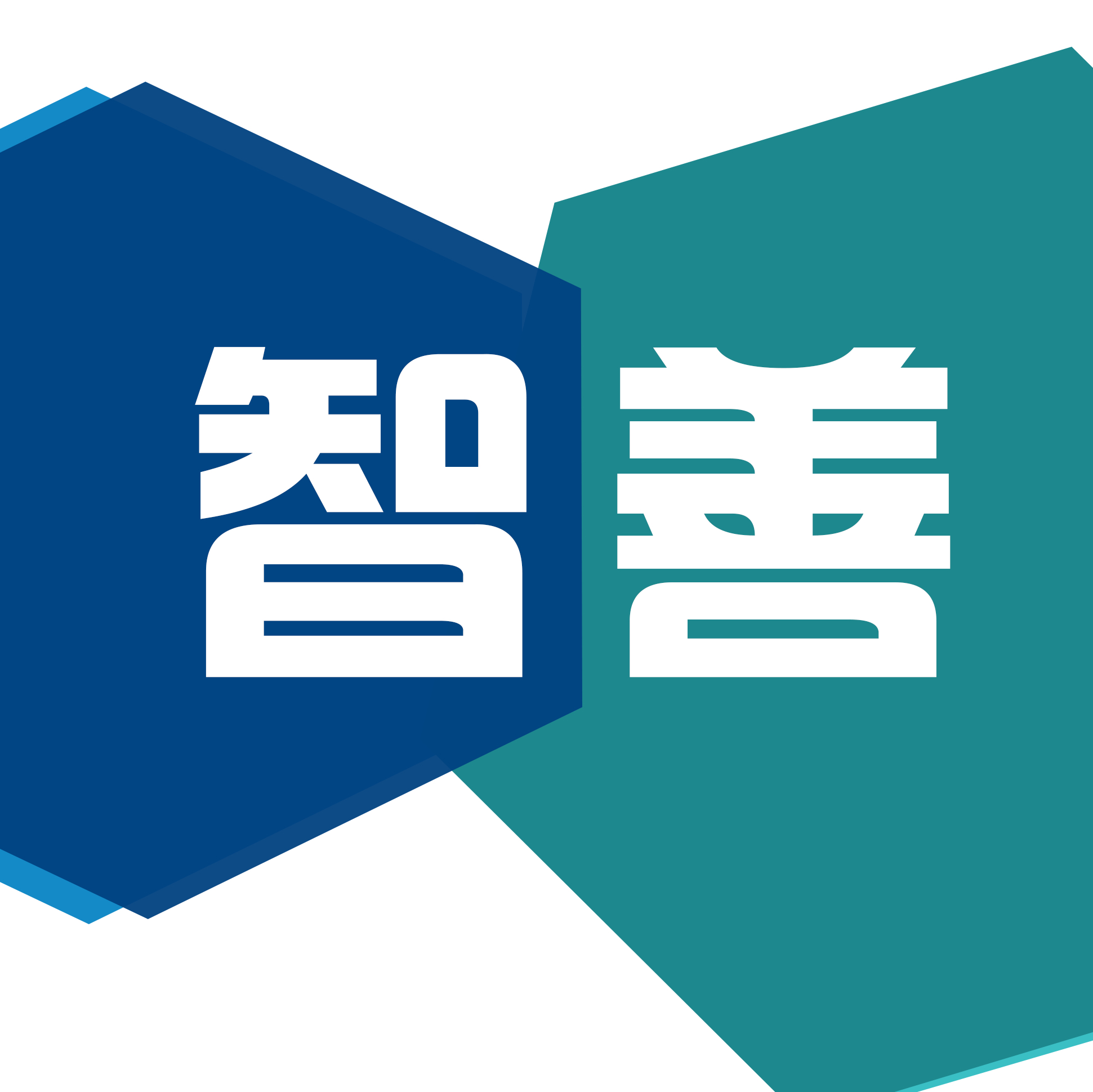 智善zhishan 