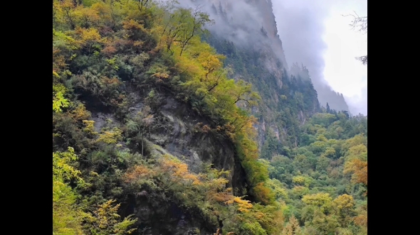 ...甘肃省陇南市宕昌县城郊,由官珠沟、鹅嫚沟、木隆沟、庙沟等景区...