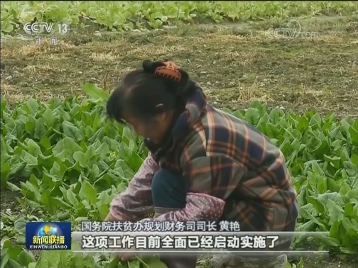 [视频]凝心聚力 坚决夺取脱贫攻坚战全面胜利——习近平总书记在决战...