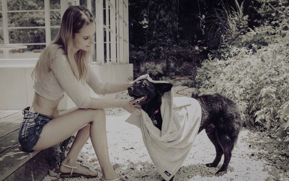 最小标注标题AE模板