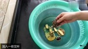 艾草泡脚这么厉害,这作用花钱都买不到,可惜活了20多年才知道
