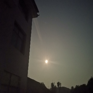 衣架勇闯互联网 