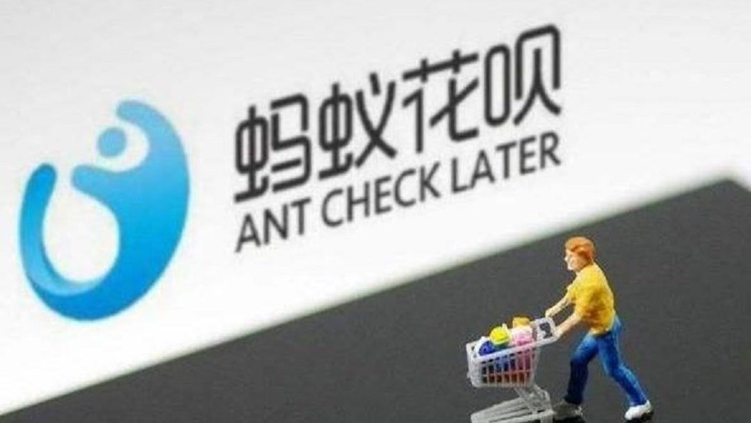 支付宝花呗如果都按时全额还款的话,那么花呗是靠什么赚钱?