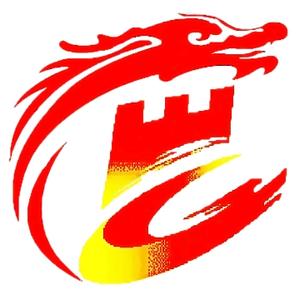 中华儿女视点 