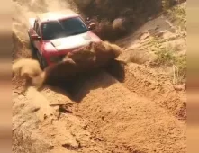 奇瑞QQ挑战猛禽皮卡车,越野大沙坡