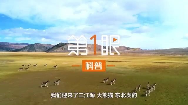 第一批国家公园来了!都是保护野生动物,和自然保护区有啥区别?