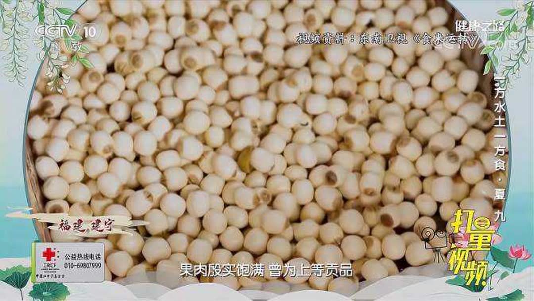 夏季吃莲子,可以健养脾胃,还有冬病夏治的功效|健康之路