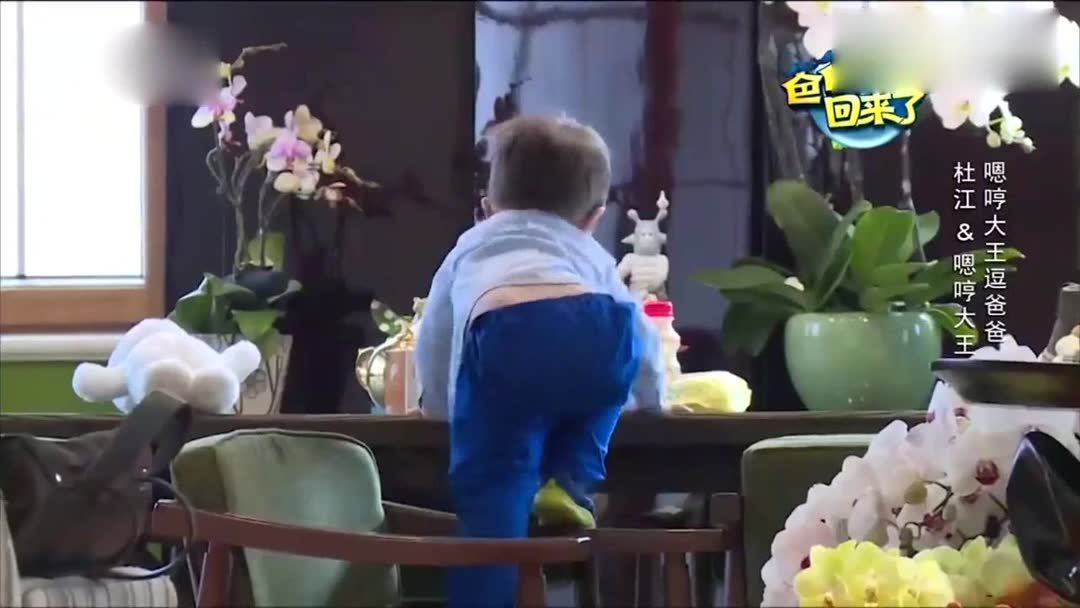爸爸:嗯哼大王太淘气,一会功夫竟爬桌子上,吓的杜江一身冷汗!