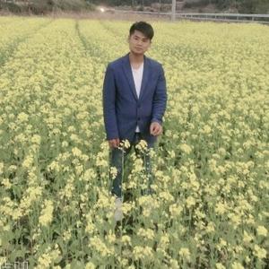 农林业奋斗的小林 