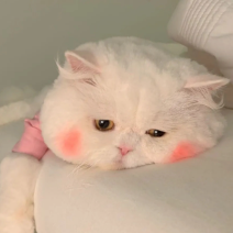 零基础3D建模教程 