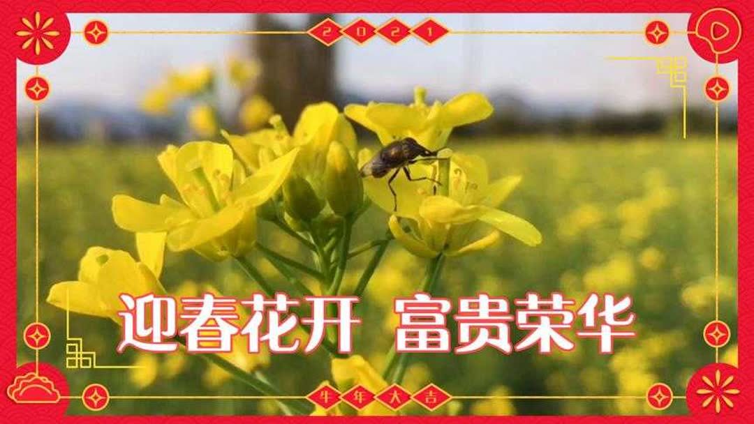 听说点赞后今年都行好运!信不信由你,反正我是信了!