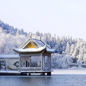 业余爱好多 