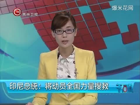 印尼总统:将动员全国力量搜救
