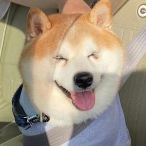 人潮拥挤我却退离 