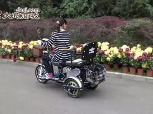 大慈-三轮代步车老年双座代步车