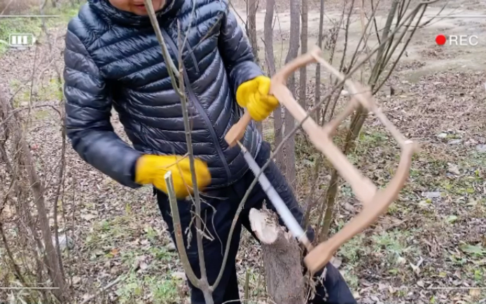 [In the Bush] 12寸自制手锯使用 —— Bushcraft Weekend