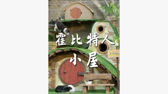 用6天时间建了霍比特人小屋,让木木和辛辛感受一下房贷的压力。