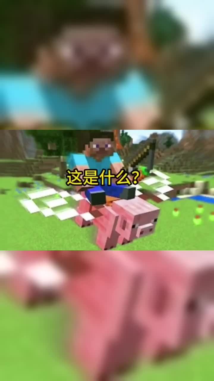 我的世界,MC都有什么离谱事件?