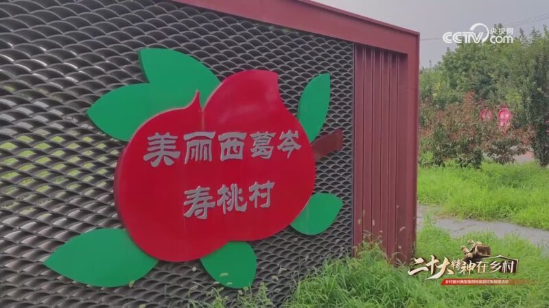 [乡村治理]天津 小积分,大治理 天津市蓟州区马伸桥镇
