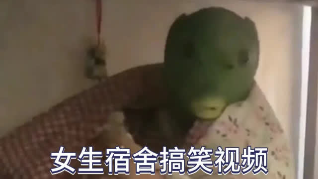 搞笑视频女生宿舍关系可以可怕到什么程度,4个人5个微信群