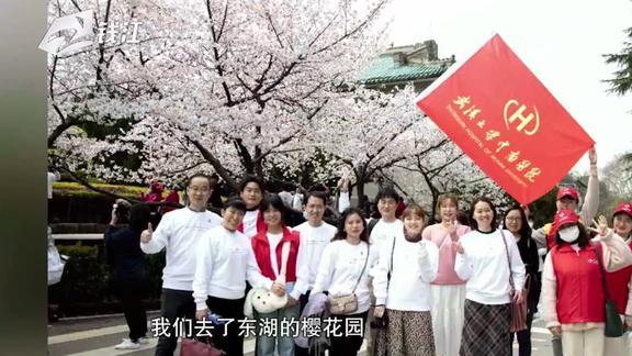 武汉的樱花开了!曾经援鄂的他们奔赴一场樱花之约