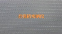 泳帽模具纹理制作