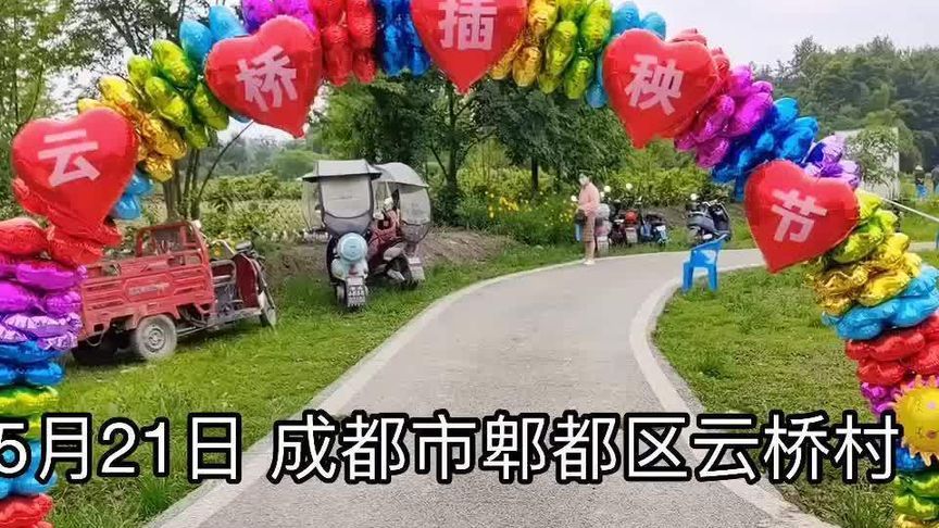 30秒丨成都郫都云桥村第四届插秧节活动举行 来一场稻田间的诗和远方