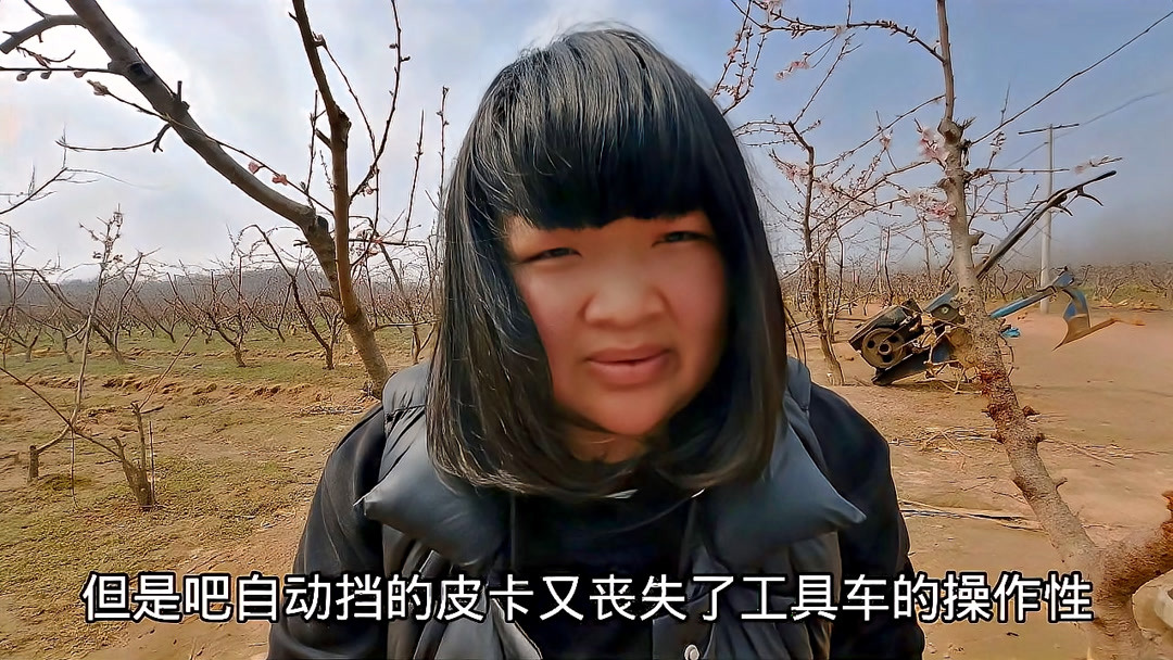 没有车不敢去桃花节,长城炮五十铃江淮,自动挡的皮卡越看越纠结