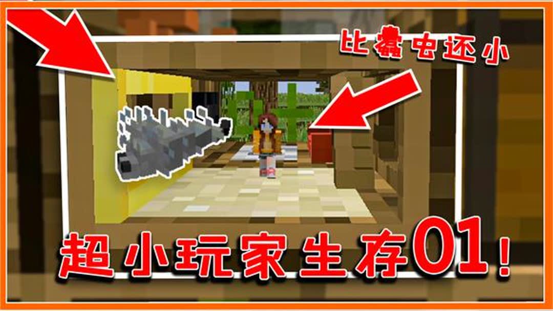 我的世界超小生存:玩家比蠹虫还小!叶子开局就被蜘蛛追着跑!