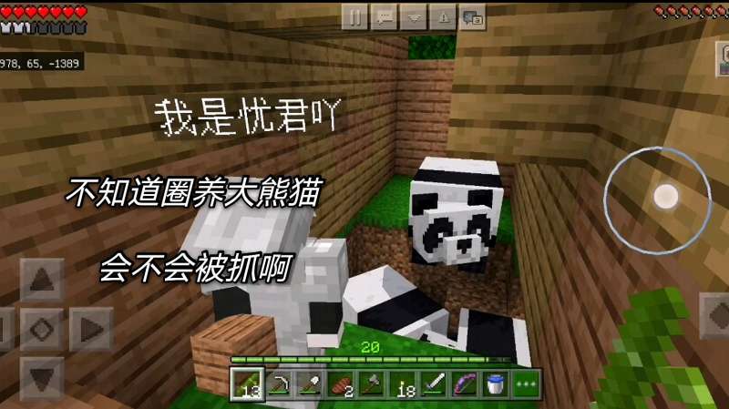 我的世界:找到了大熊猫,还要帮他们盖房子