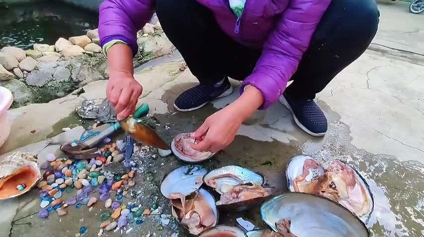 超级干净的海滩,非常适合珍珠牡蛎的生长