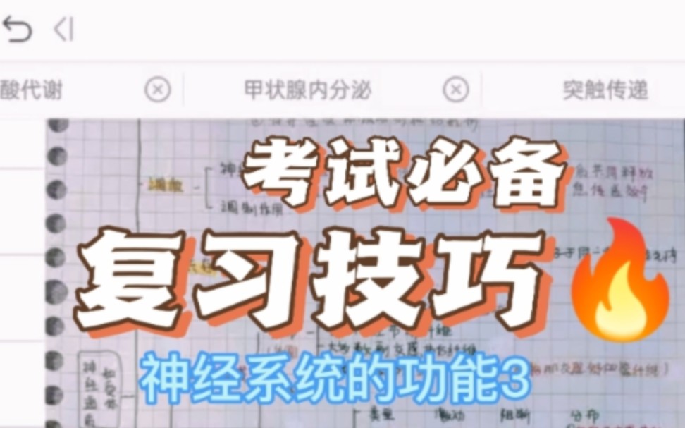 神经系统的功能3神经递质和受体