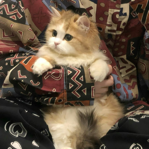 人鱼线不要任意选 