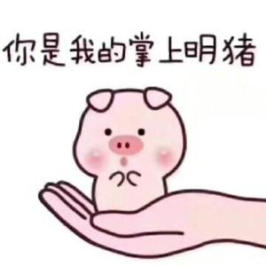 巴心博雷 