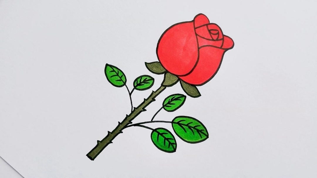 儿童简笔画教程,美丽的玫瑰花