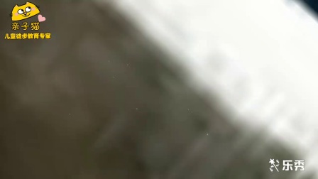 沙漠草原研学旅行