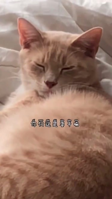 携家庭成员来给大家分享美国大学生的一天～ #留学生生活